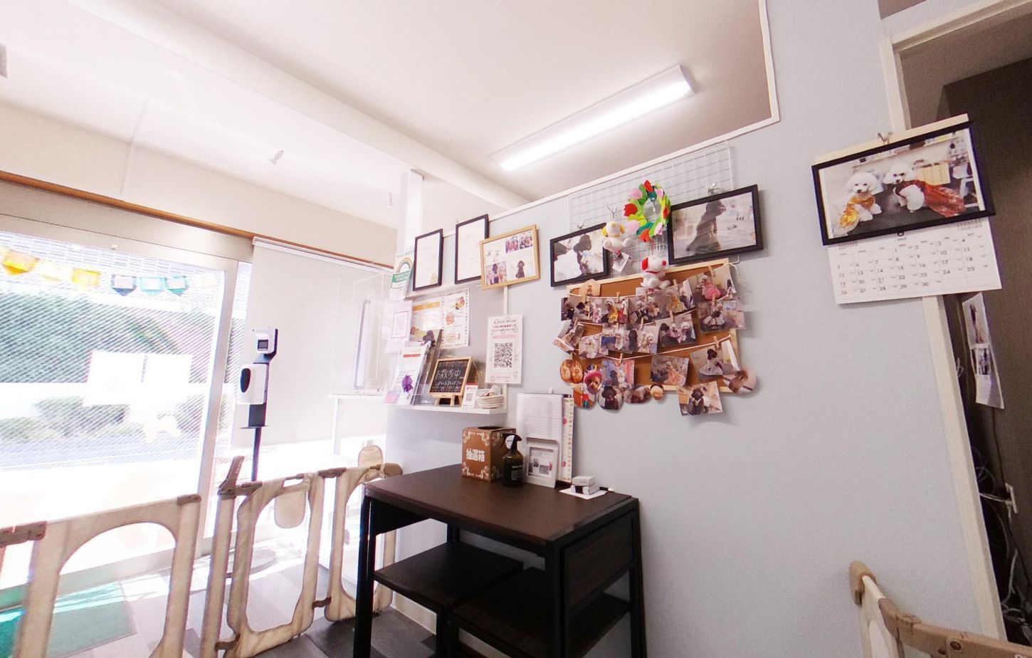 エードッグプラス東向島店2024年3月1日再オープン！