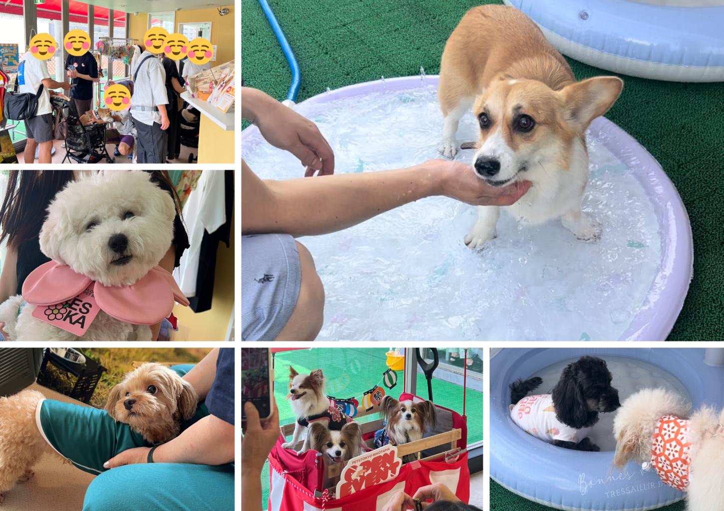 イベントご来場のお礼【豪徳寺・二子玉川イベント】