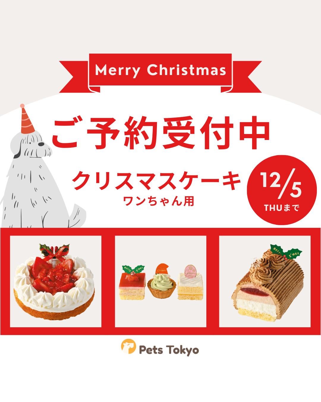 【予約受付中！】クリスマスケーキ！