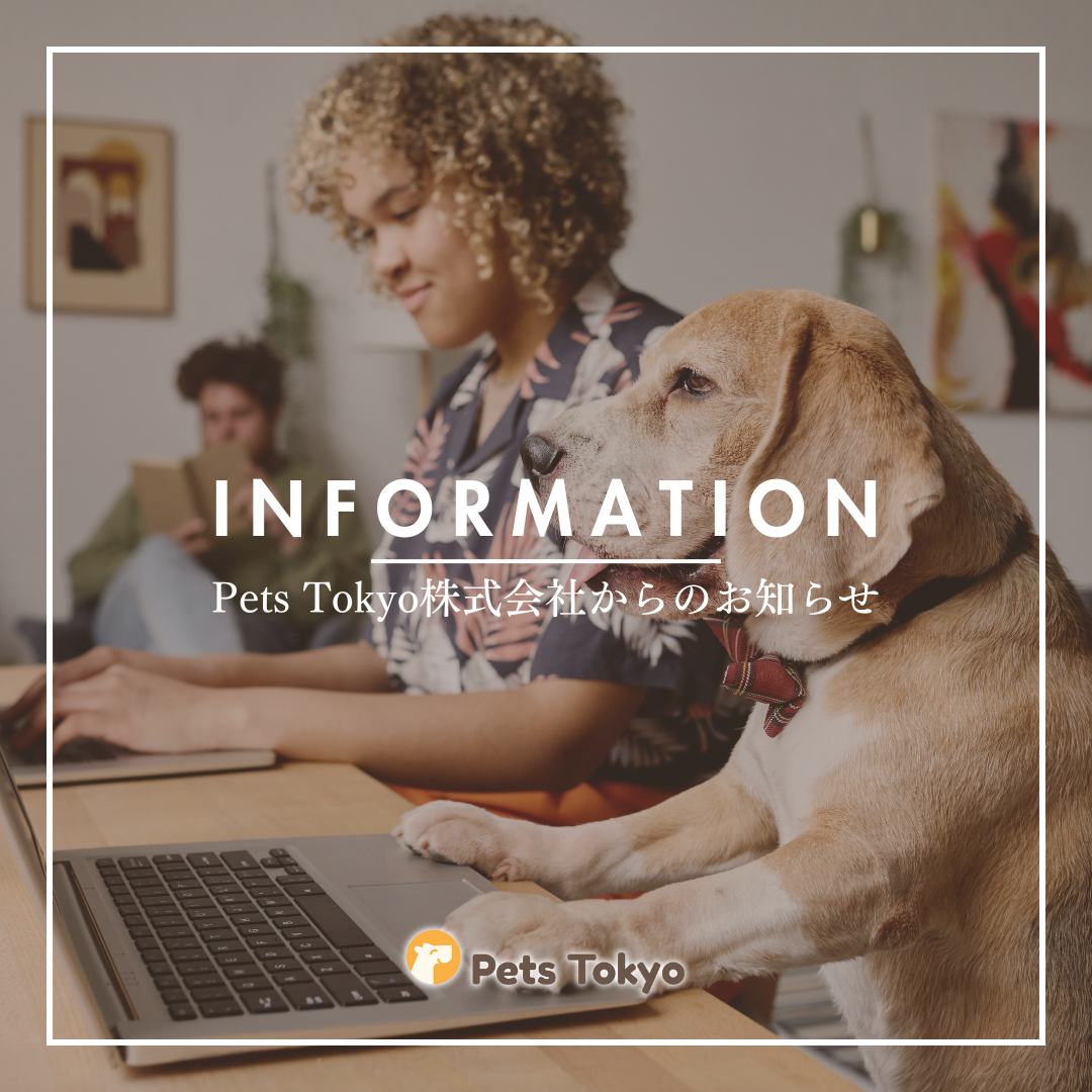 代表取締役変更のお知らせ