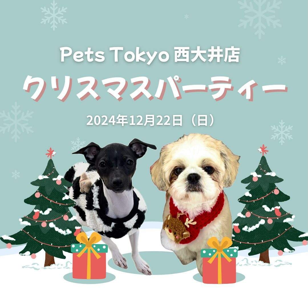 【予約受付中！】12月22日クリスマスパーティー